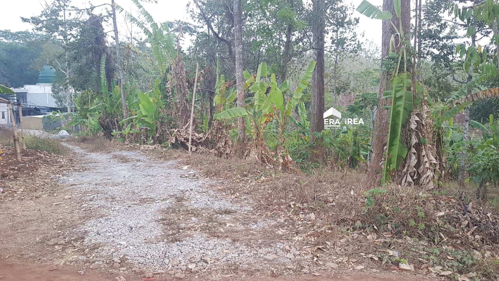 Jual Cepat Tanah Wonoplumbon Mijen Semarang – LIST.ID Jual Cepat Tanah Wonoplumbon Mijen Semarang – LIST.ID