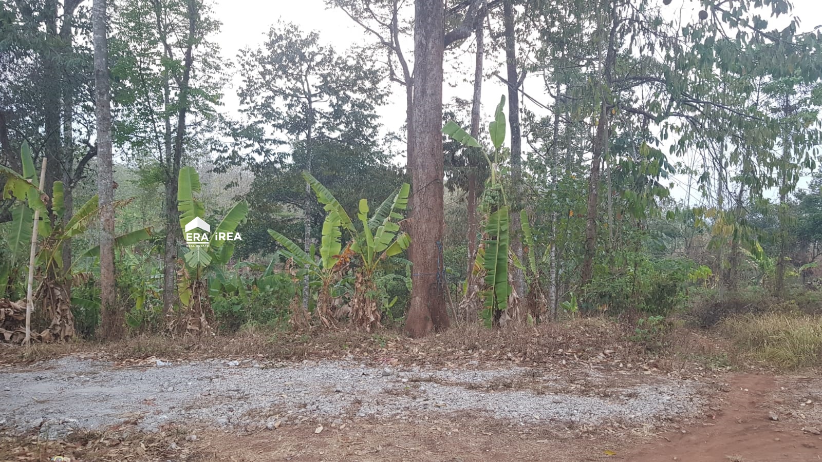 Jual Cepat Tanah Wonoplumbon Mijen Semarang – LIST.ID Jual Cepat Tanah Wonoplumbon Mijen Semarang – LIST.ID