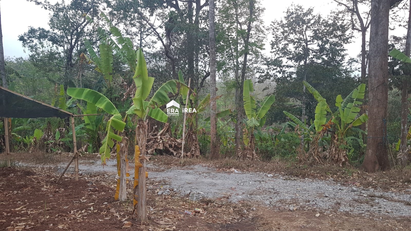 Jual Cepat Tanah Wonoplumbon Mijen Semarang – LIST.ID Jual Cepat Tanah Wonoplumbon Mijen Semarang – LIST.ID