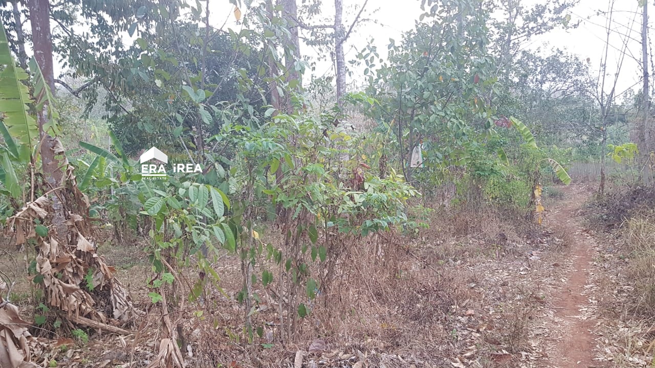 Jual Cepat Tanah Wonoplumbon Mijen Semarang – LIST.ID Jual Cepat Tanah Wonoplumbon Mijen Semarang – LIST.ID